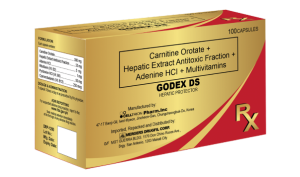Godex DS – Mergers Drugfil