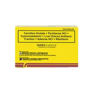 Godex – Mergers Drugfil